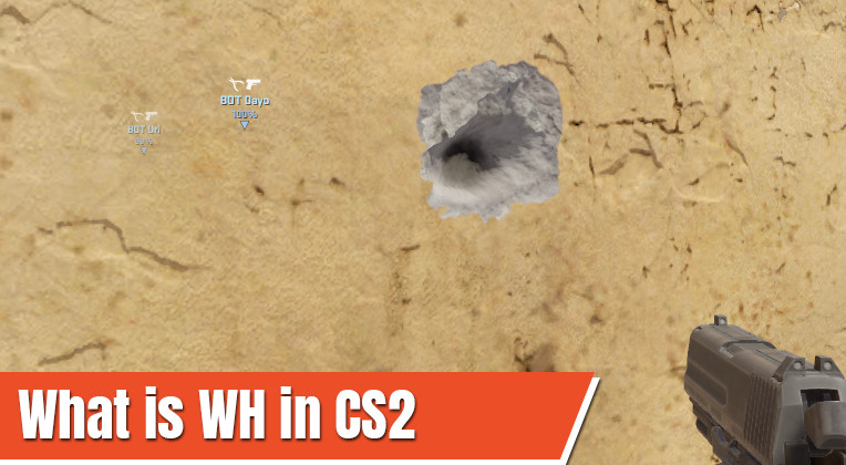 What is WH (Wallhack) in CS2 - It's the most popular cheat in CS2 ...